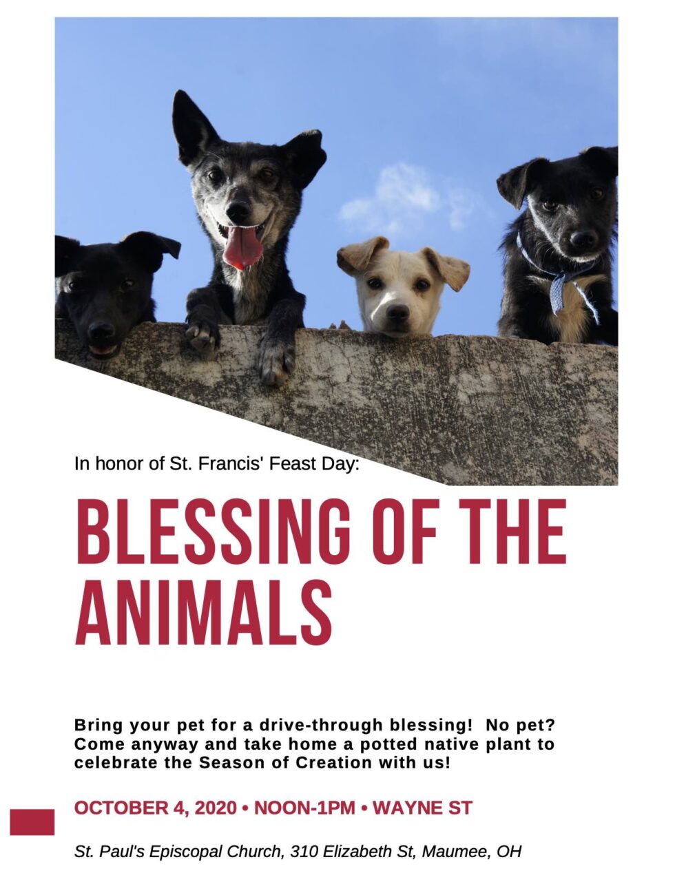 Blessing of the Animals | St. Paul's Episcopal Church, Maumee, OH